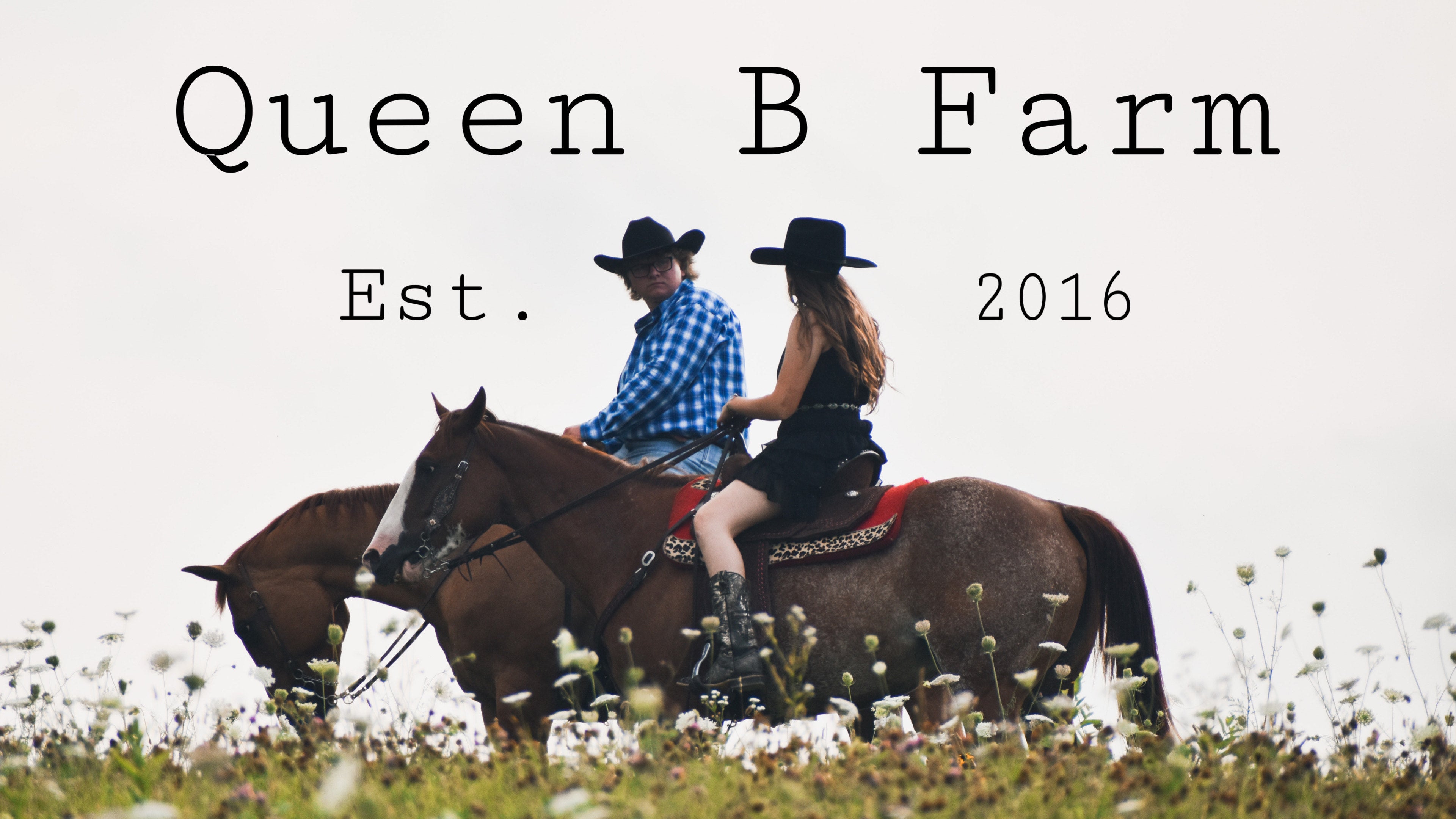 Queen B Farm